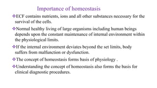 Homeostasis | PPT