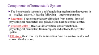 Homeostasis | PPT