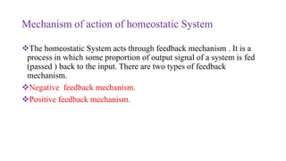 Homeostasis | PPT