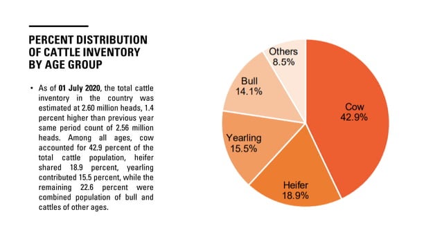 Cattle situation report | PDF