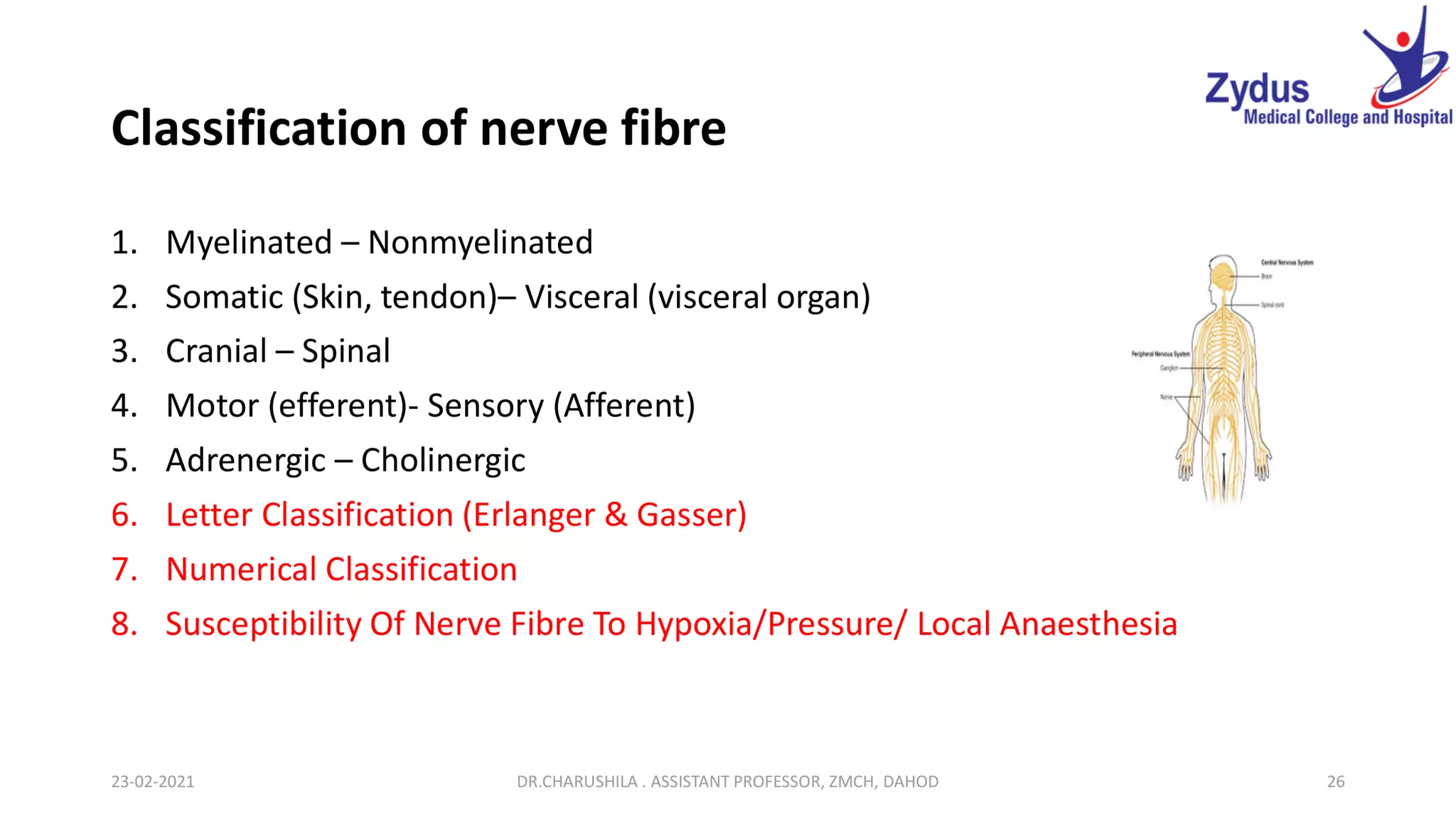2. NM Neuron, nerve classification | PDF