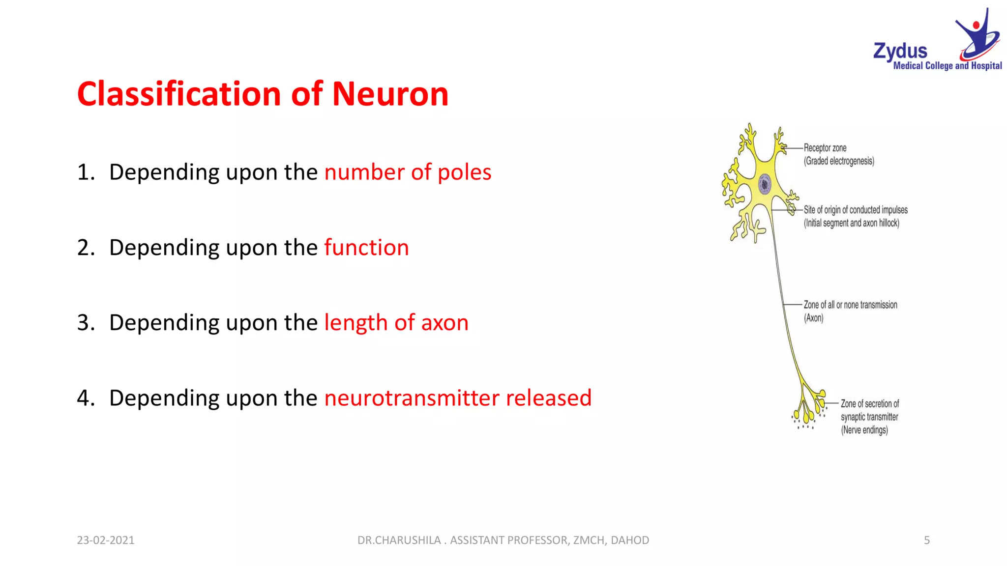 2. NM Neuron, nerve classification | PDF