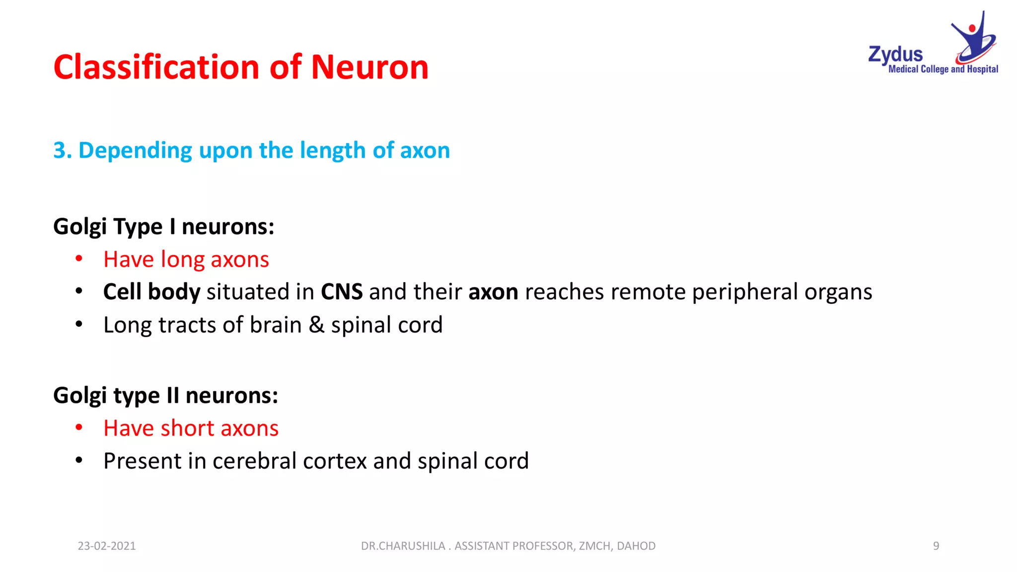 2. NM Neuron, nerve classification | PDF