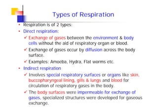 Comparative study of respiratory organs | PDF