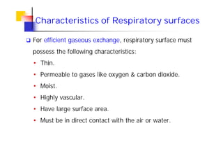 Comparative study of respiratory organs | PDF