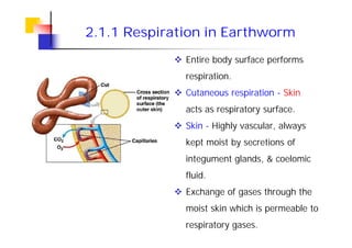 Comparative study of respiratory organs | PDF
