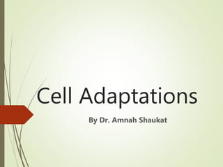 Cell Adaptations | PPTX