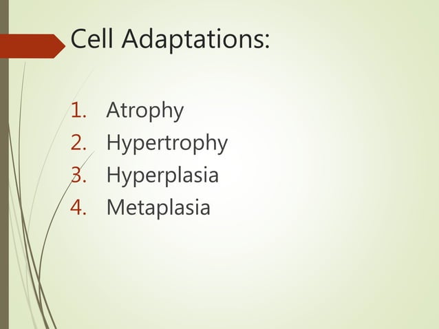 Cell Adaptations | PPT