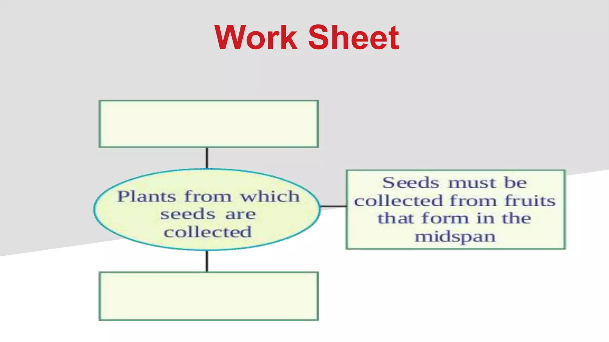 2. while selecting seeds.... | PPT