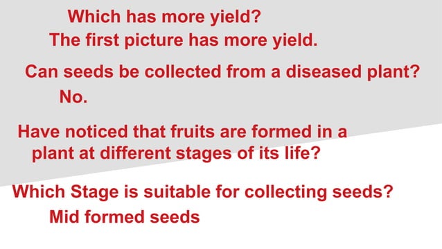 2. while selecting seeds.... | PPT