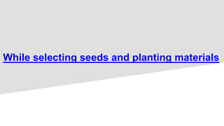 2. while selecting seeds.... | PPTX