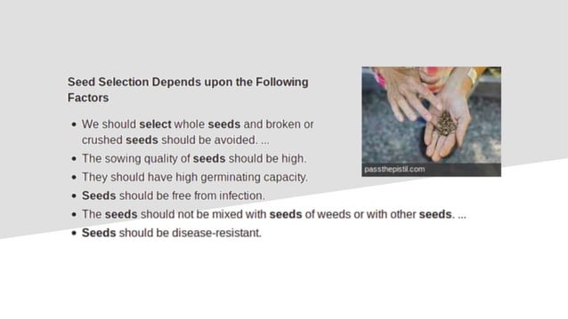 2. while selecting seeds.... | PPT