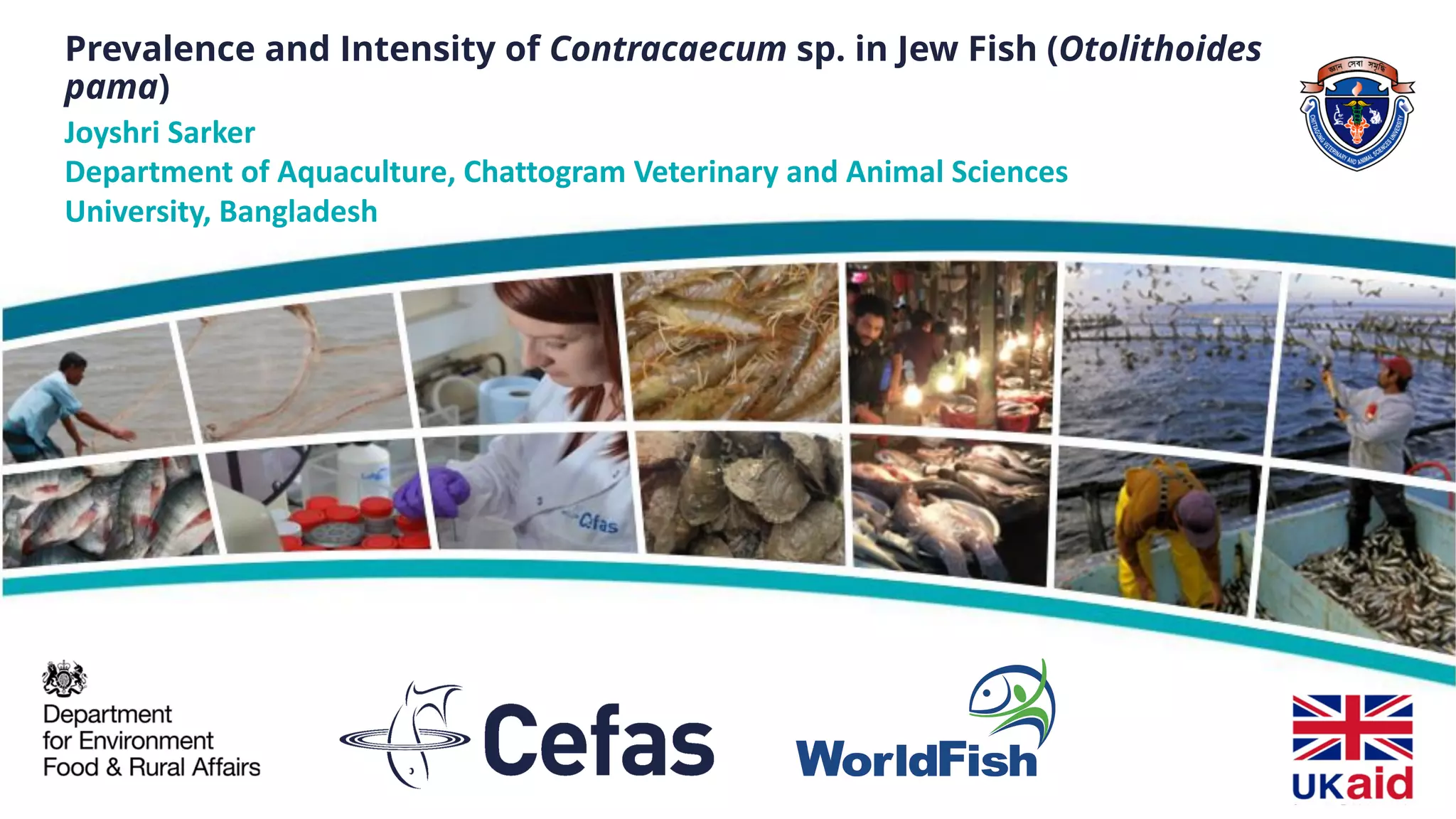 2.10_Joyshri Sarker_Prevalence and Intensity of Contracaecum sp. in Jew ...