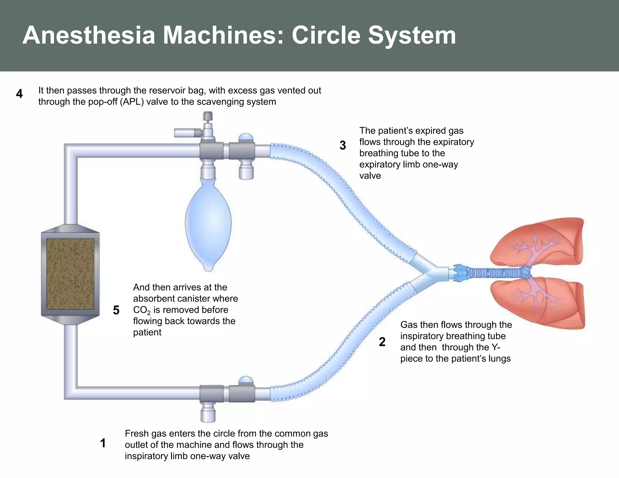 Introduction to Anesthesia | PPTX
