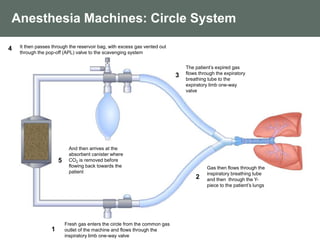 Introduction to Anesthesia | PPTX | First Aid | Injuries