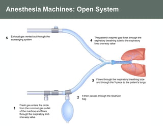 Introduction to Anesthesia | PPTX | First Aid | Injuries
