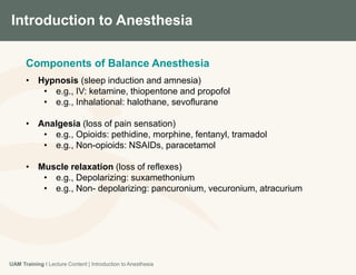 Introduction to Anesthesia | PPTX | First Aid | Injuries