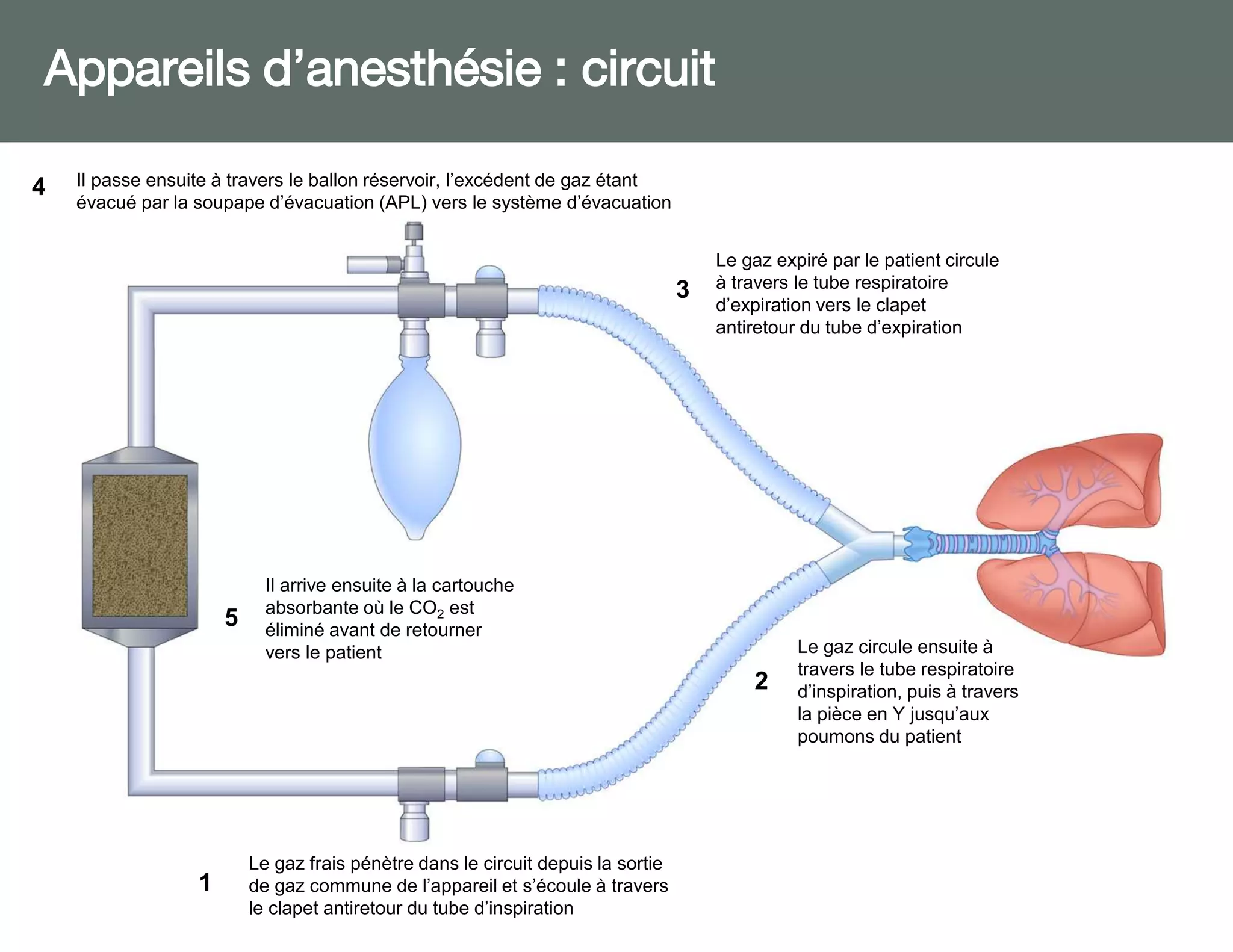 Introduction to Anesthesia - FR | PPT
