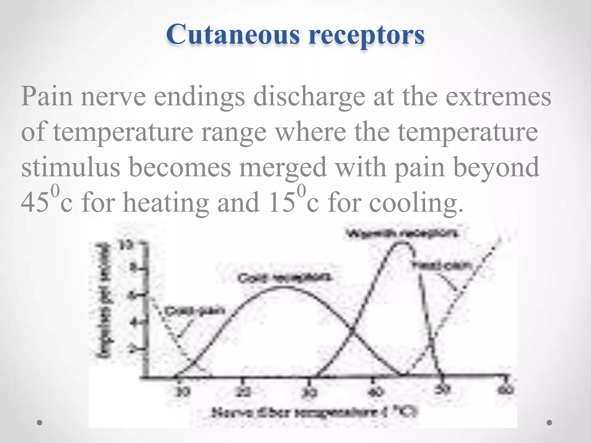 Physiology of Heat and Cold | PPT