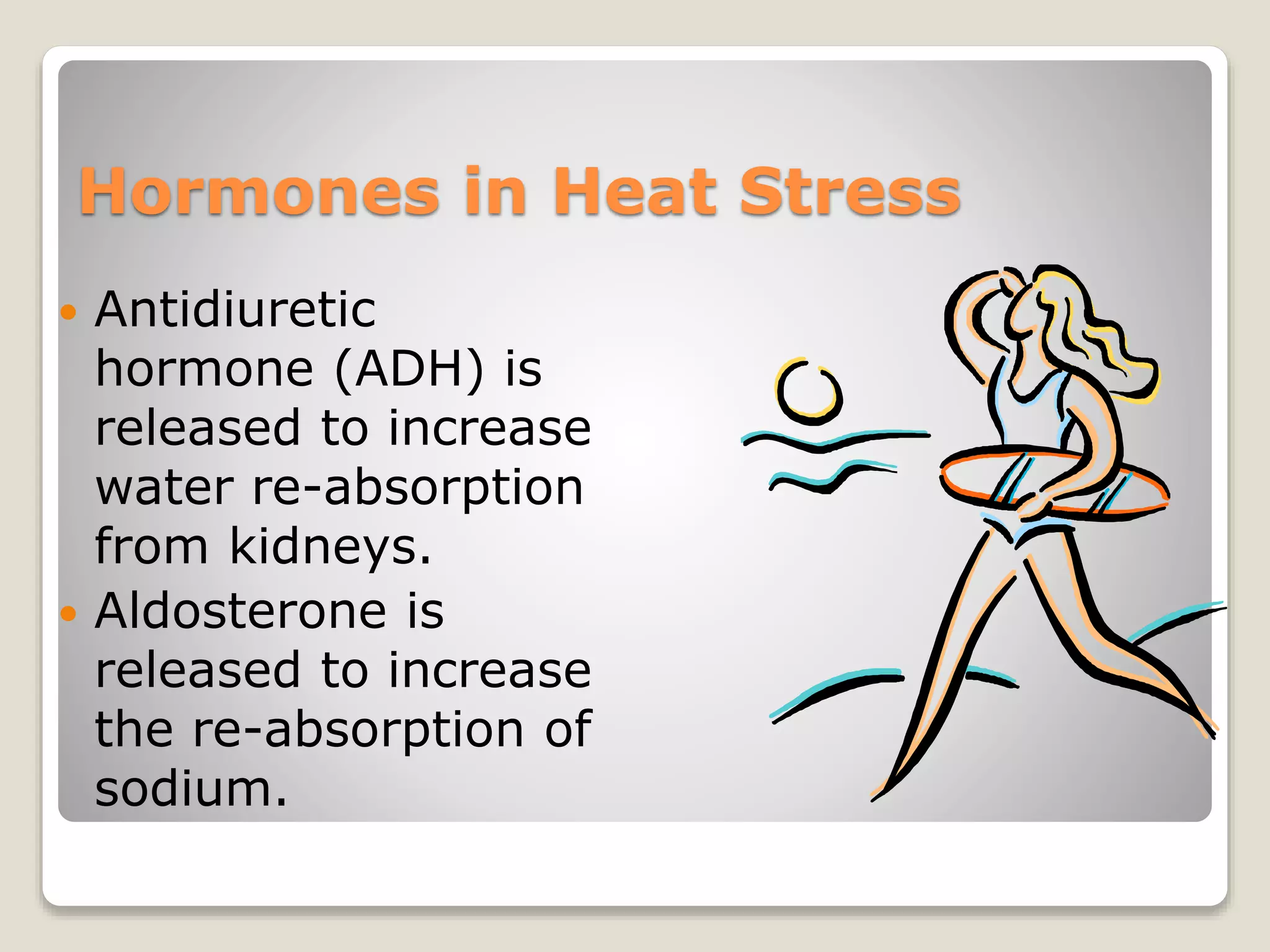 Thermoregulation of Body | PPT