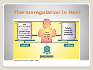 Thermoregulation of Body | PPT | Endocrine and Metabolic Diseases ...