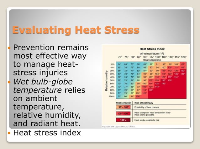 thermoregulation in human body | PPT