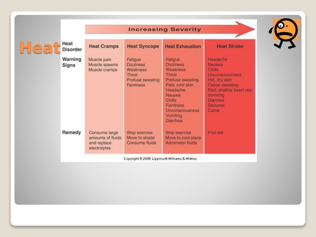 thermoregulation in human body | PPT