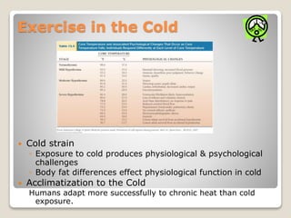 thermoregulation in human body | PPT