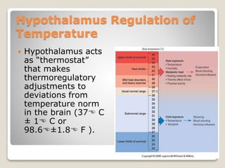 thermoregulation in human body | PPT