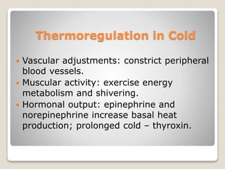 thermoregulation in human body | PPT
