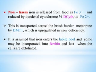 Iron metabolism | PPTX