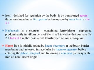 Iron metabolism | PPTX