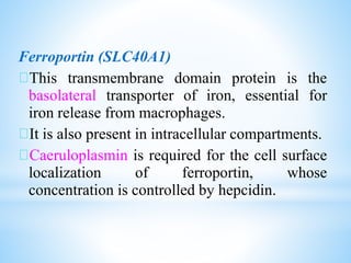 Iron metabolism | PPTX