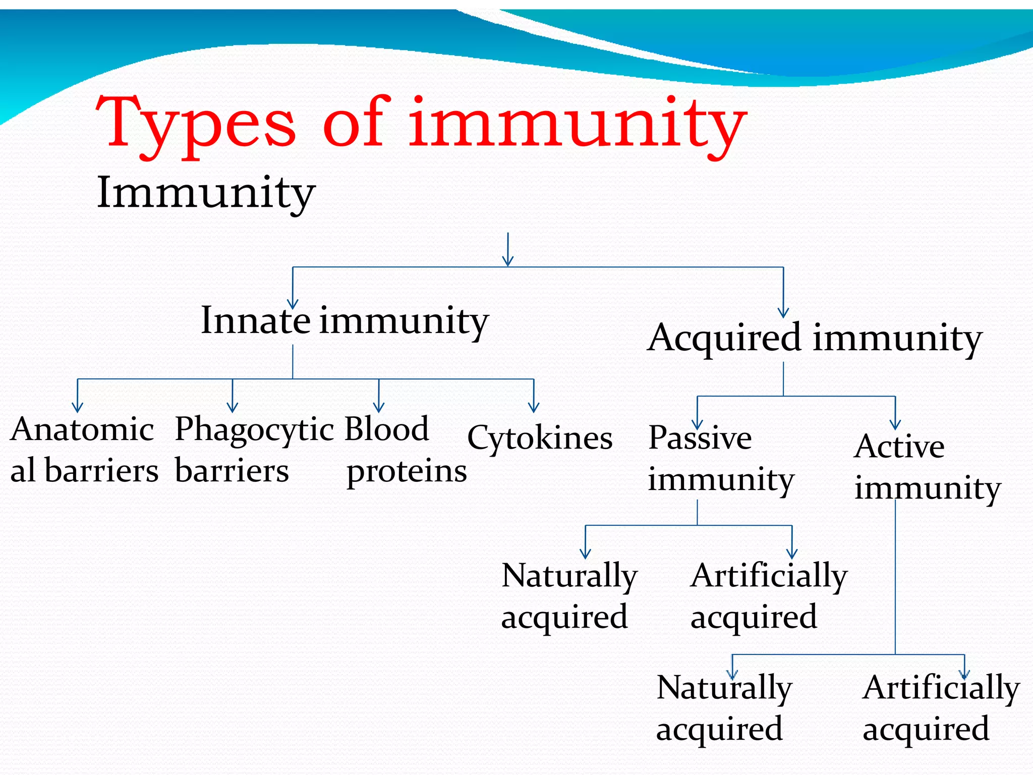TYPES OF IMMUNITY | PPTX