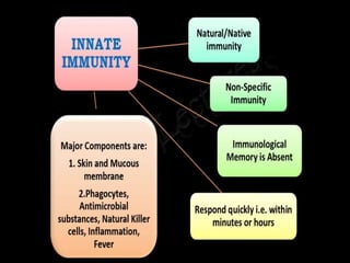 TYPES OF IMMUNITY | PPTX | Chemistry | Science