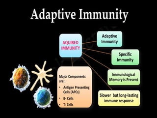 TYPES OF IMMUNITY | PPTX | Chemistry | Science
