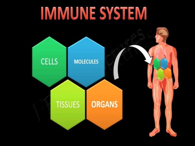 TYPES OF IMMUNITY | PPTX | Chemistry | Science