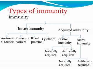 TYPES OF IMMUNITY | PPTX
