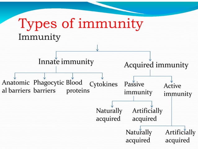TYPES OF IMMUNITY | PPTX | Chemistry | Science