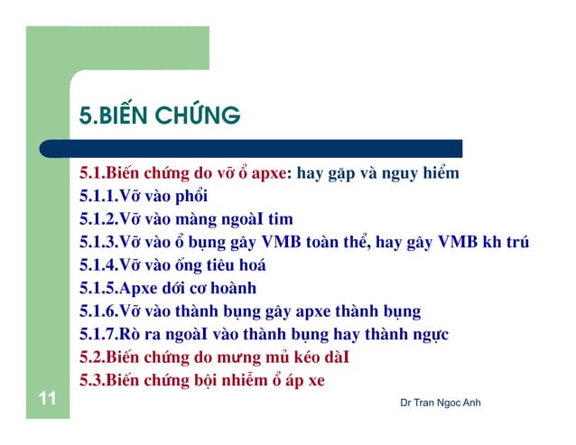 ÁP XE GAN DO AMIP | PDF