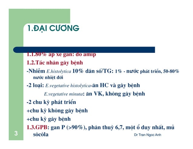 ÁP XE GAN DO AMIP | PDF