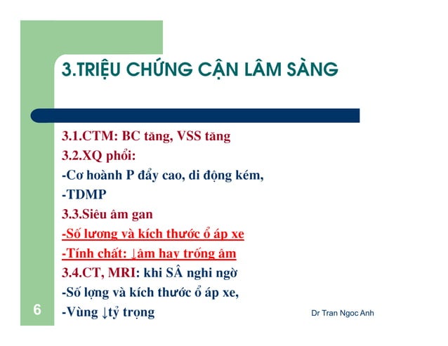 ÁP XE GAN DO AMIP | PDF