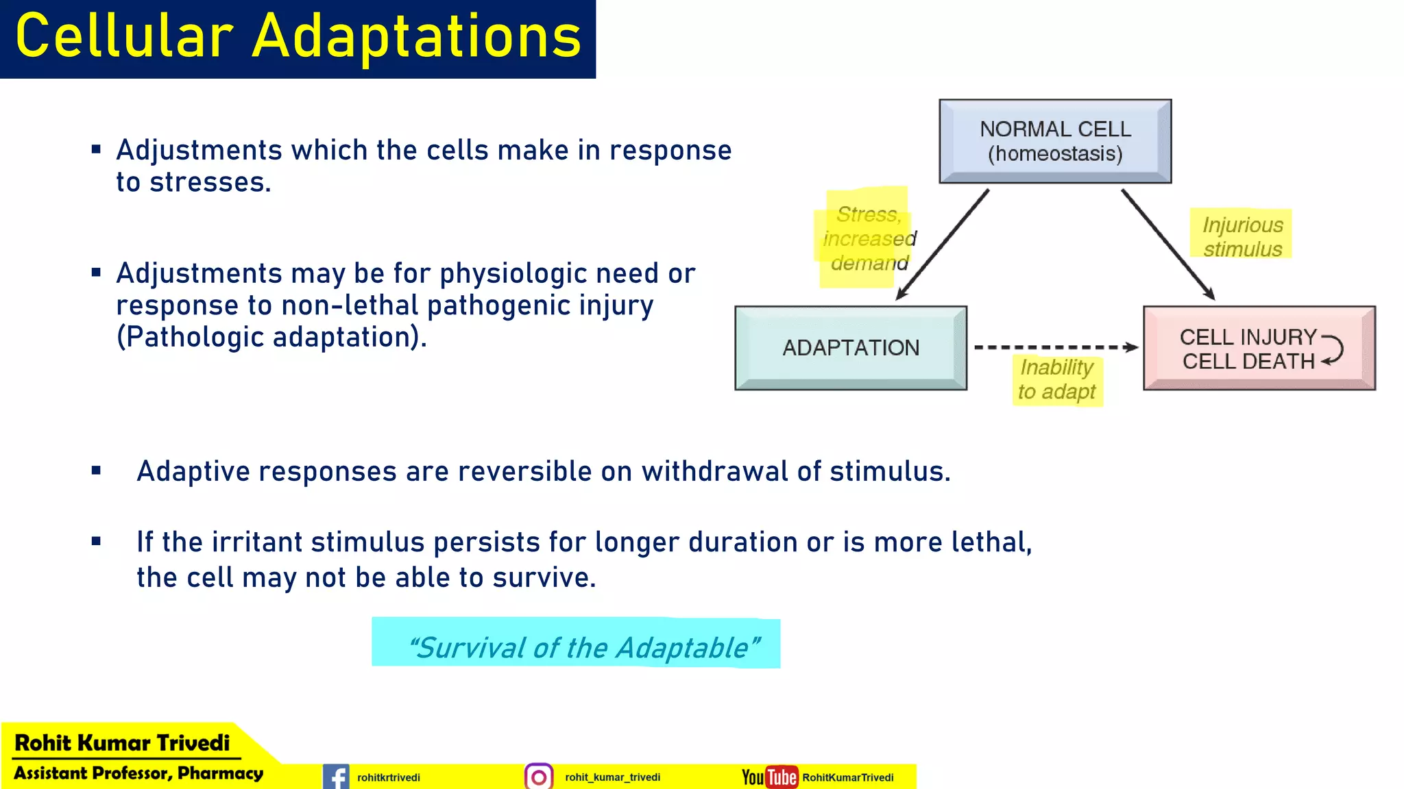 Cellular adaptations | PDF