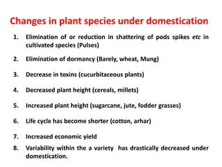 Domestication In Crop Plants GPB 202 | PPTX