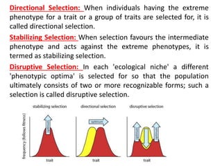 Disruptive Selection Definition