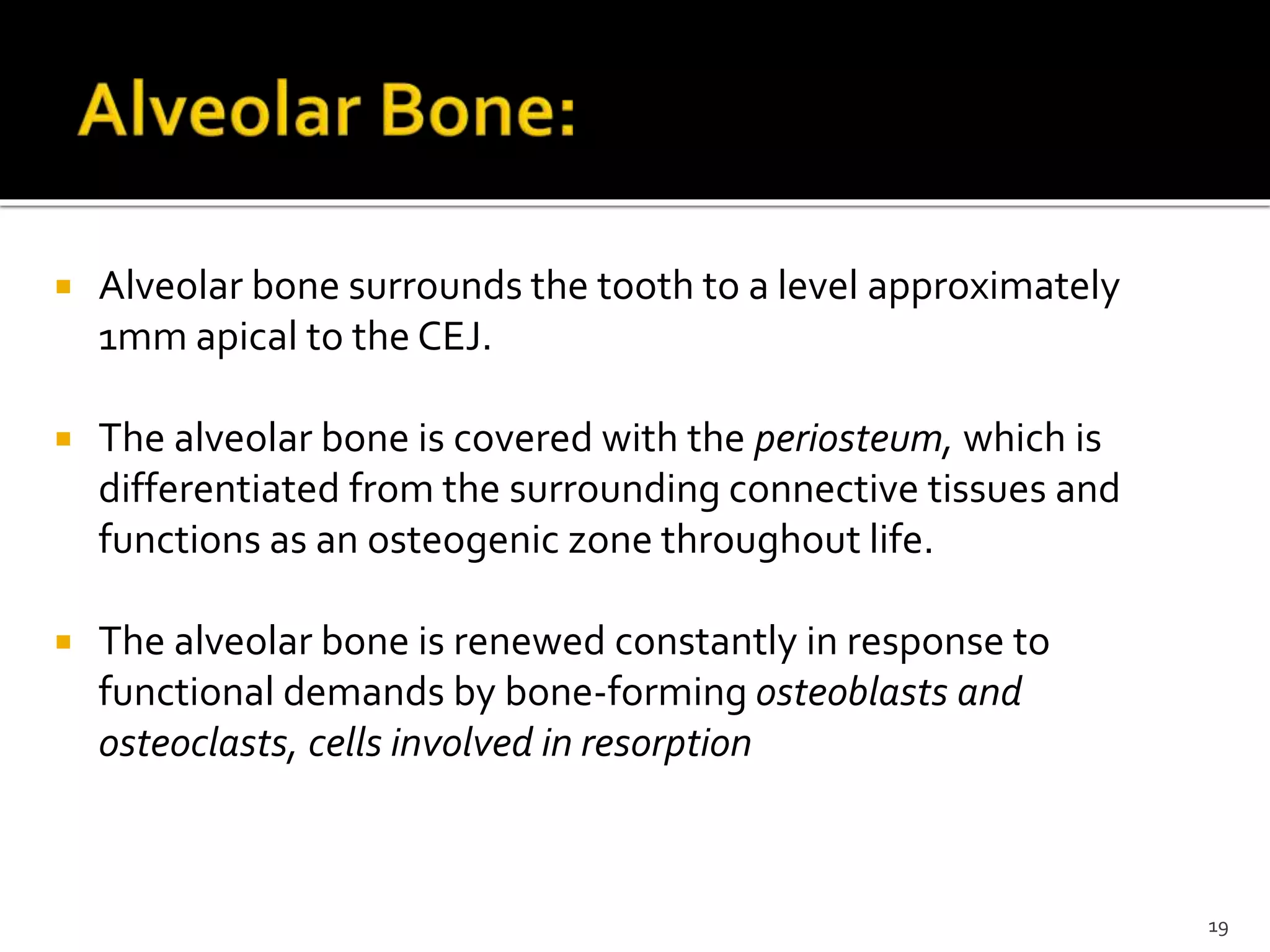 BIOLOGY OF TOOTH MOVEMENT | PPTX