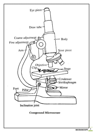 2. Construction of microscope - Basics | PDF