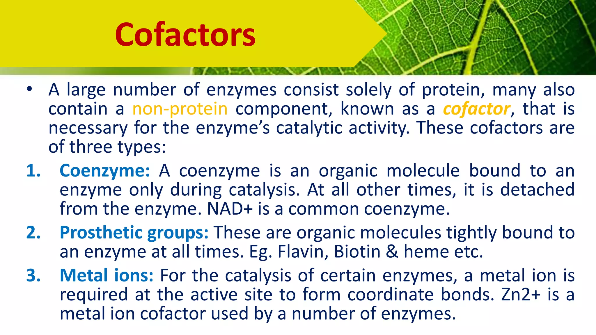 Charcterstics of enzymes | PPTX