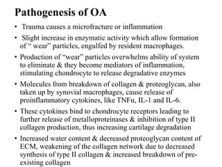 Anatomy of articular cartilage & Osteoarthritis | PPT