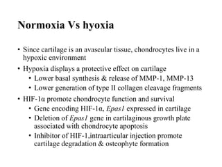 Anatomy of articular cartilage & Osteoarthritis | PPT